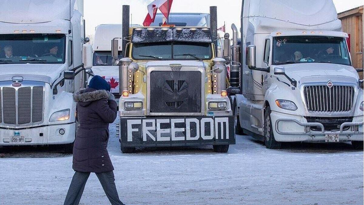 Elon Musk elogia i camionisti no vax del “Freedom Convoy”, una colonna ...