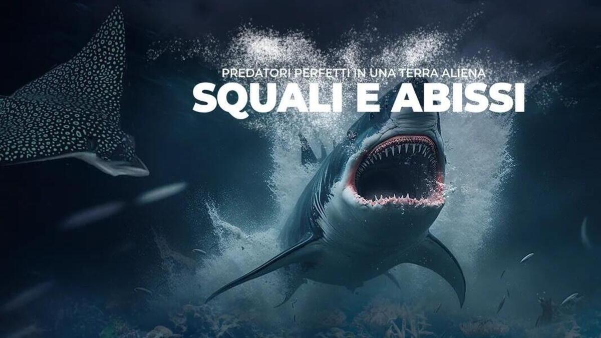 Squali veri e abissi alla stazione del treno: l'esposizione interattiva ...